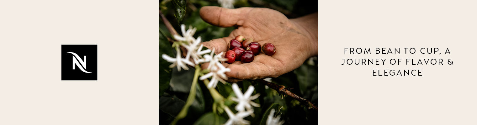 Nespresso – Scott Home Delivery